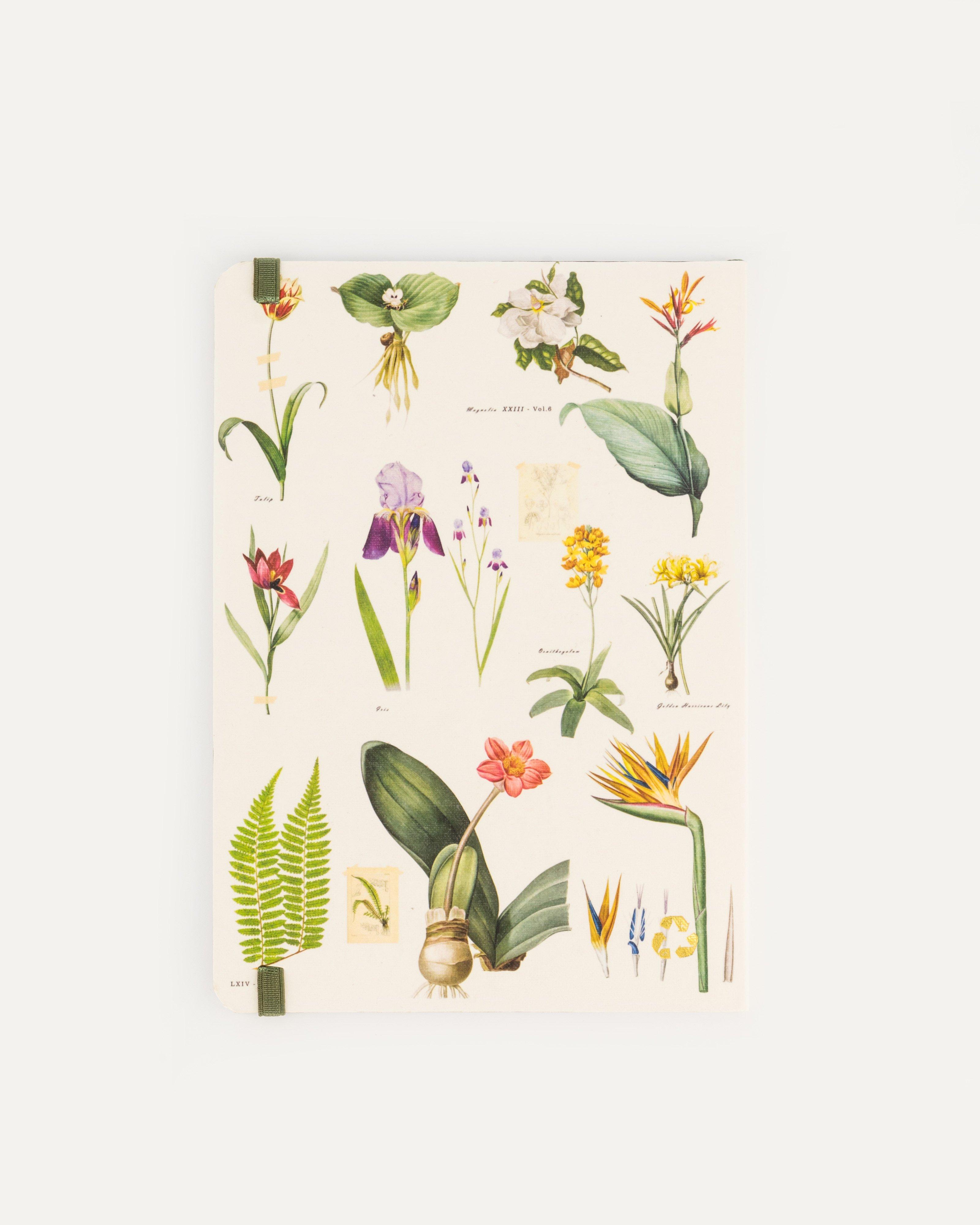 Botany Notebook - Poetry Clothing Store