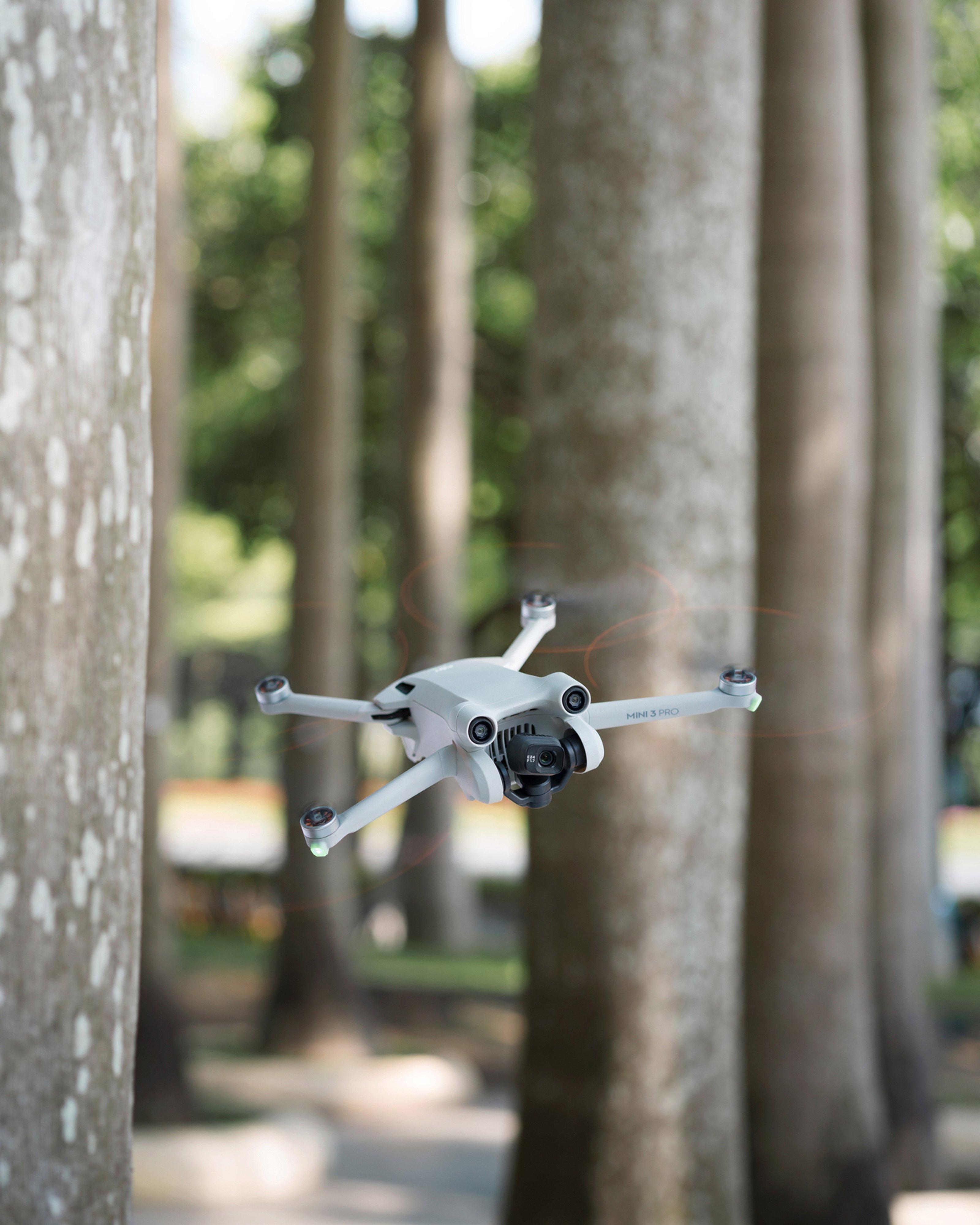 DJI Mini 3 Pro + Smart Controller | Cape Union Mart